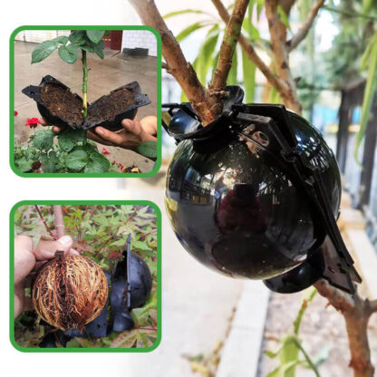 Sfere pentru înmulțirea plantelor GrowBall – Smania